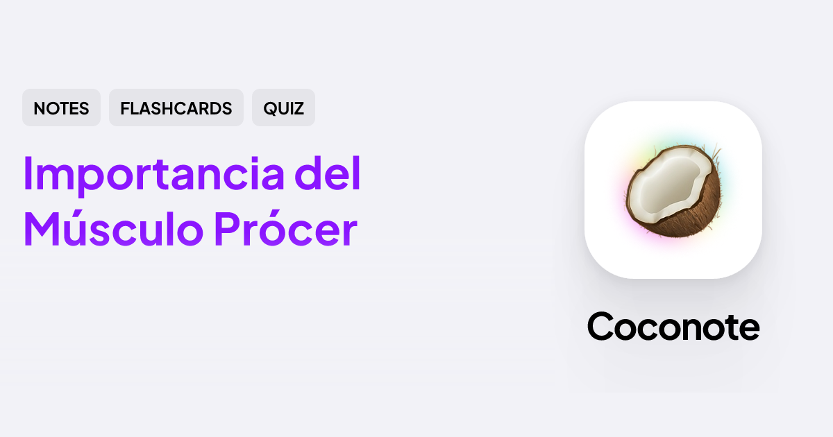 Importancia del Músculo Prócer | Coconote