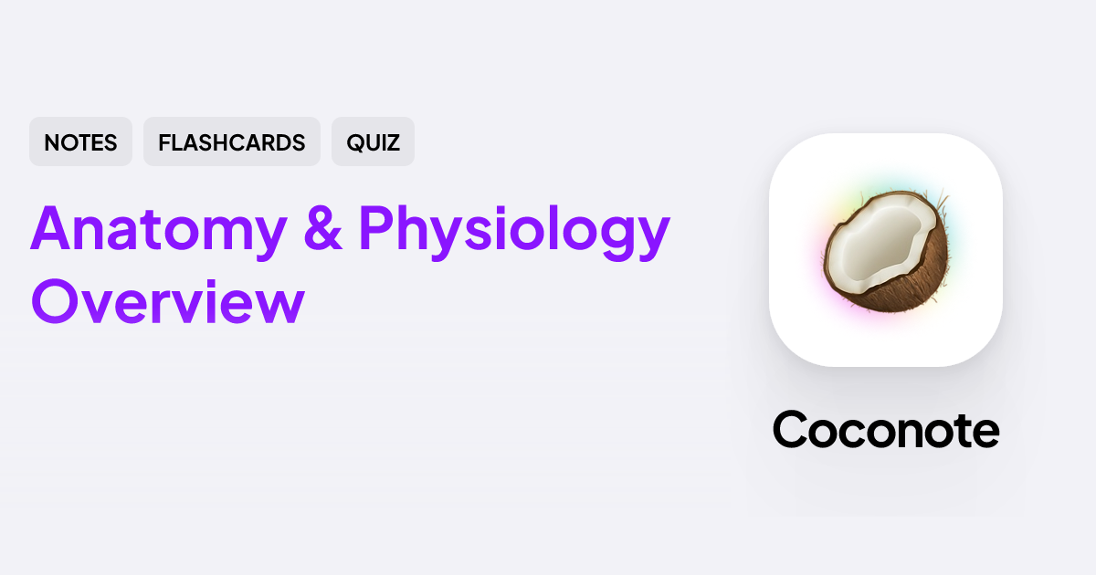 Anatomy & Physiology Overview | Coconote