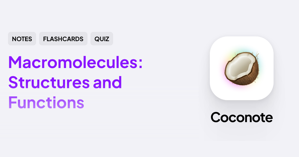 Macromolecules: Structures and Functions | Coconote