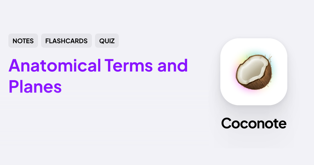 Anatomical Terms and Planes | Coconote