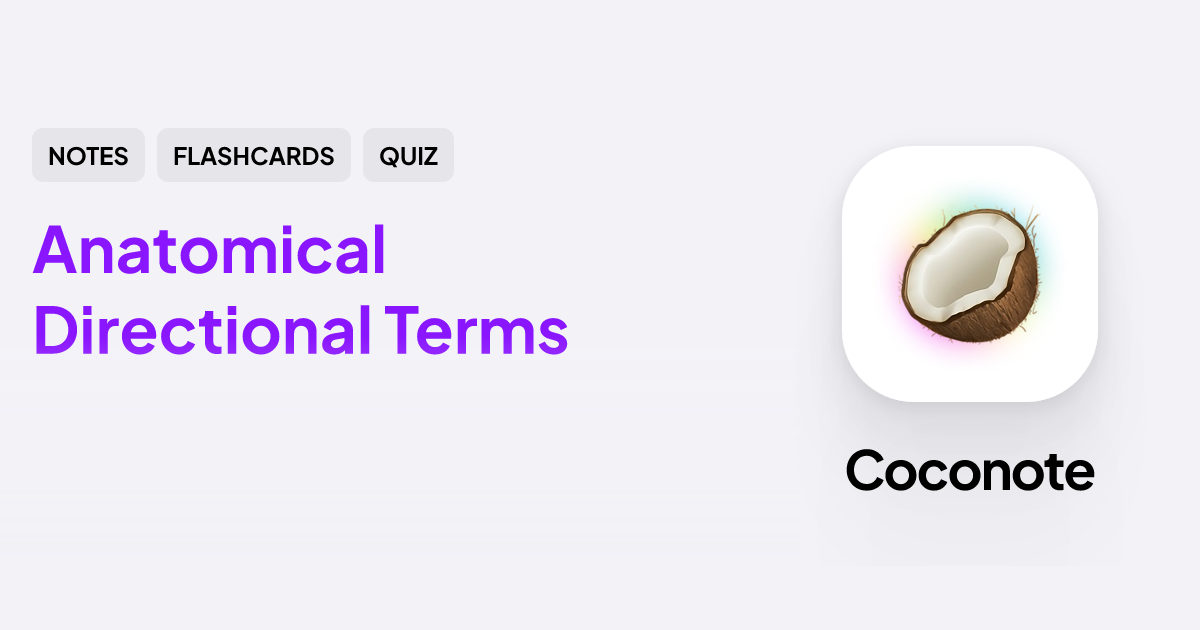 Anatomical Directional Terms | Coconote