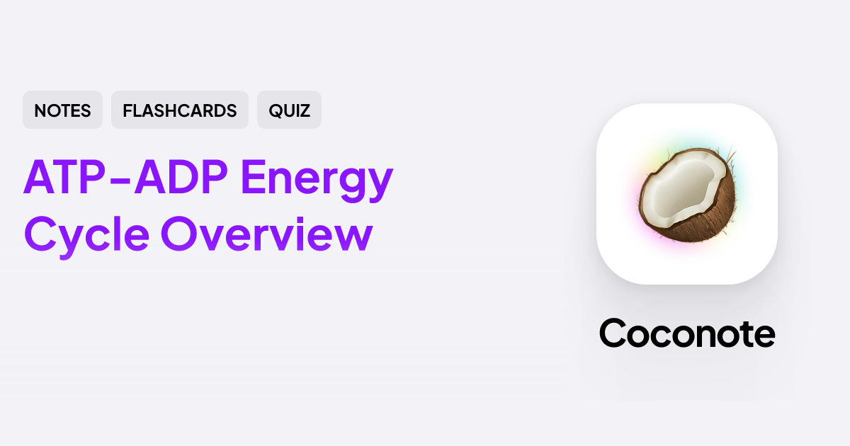 ATP-ADP Energy Cycle Overview | Coconote
