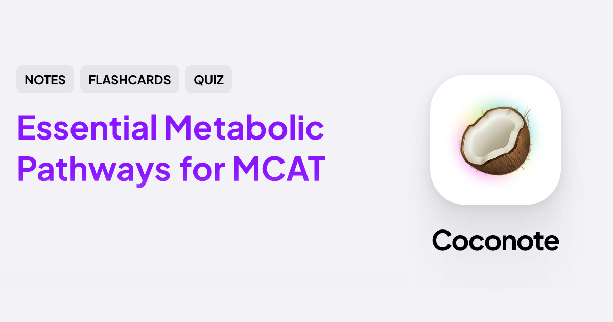 Essential Metabolic Pathways for MCAT | Coconote