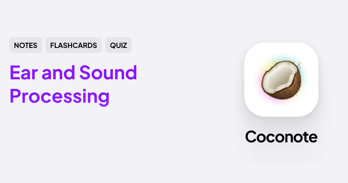 Ear and Sound Processing | Coconote