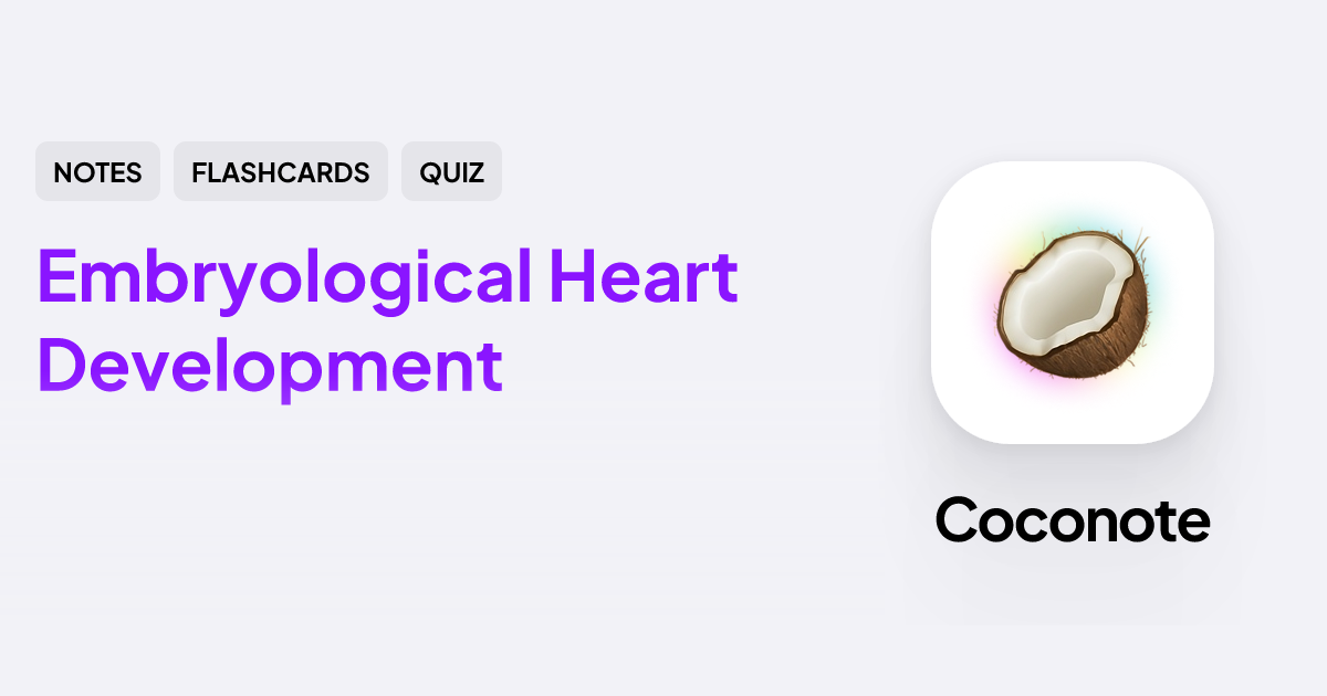 Embryological Heart Development | Coconote