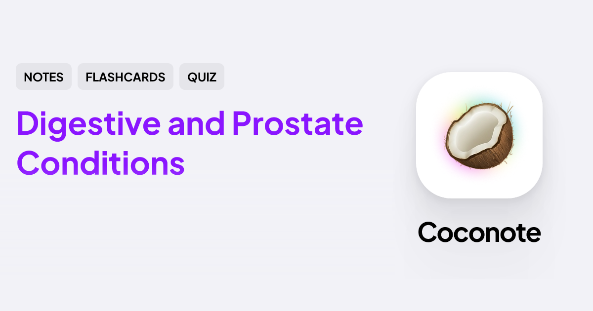 Digestive and Prostate Conditions | Coconote