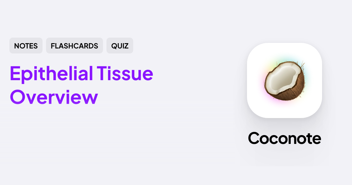 Epithelial Tissue Overview | Coconote