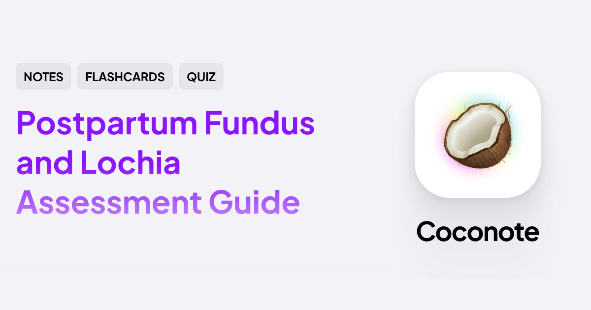 Postpartum Fundus and Lochia Assessment Guide | Coconote
