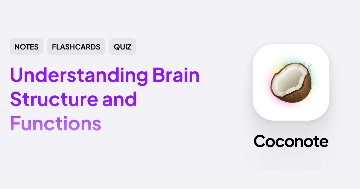 Understanding Brain Structure and Functions | Coconote
