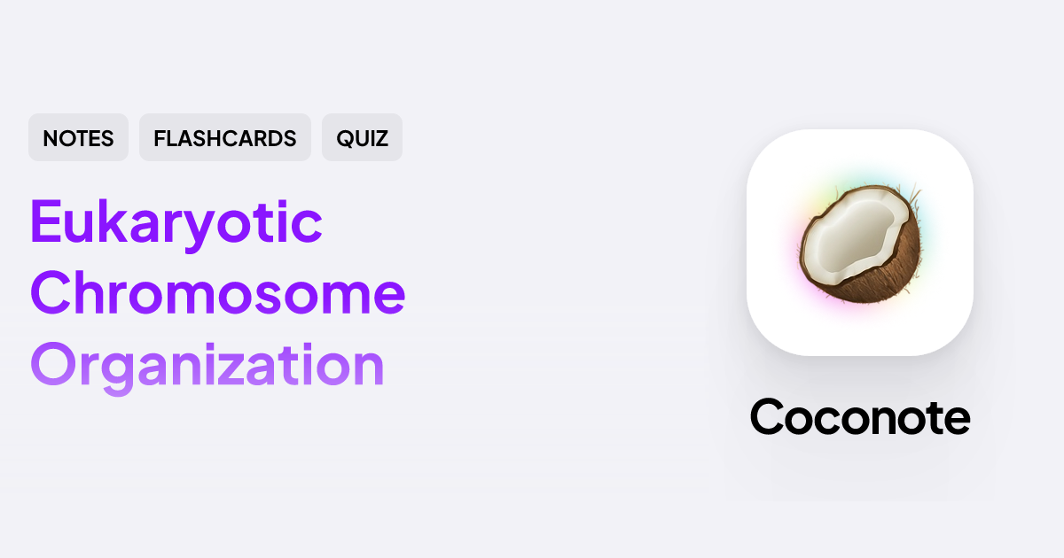 Eukaryotic Chromosome Organization | Coconote