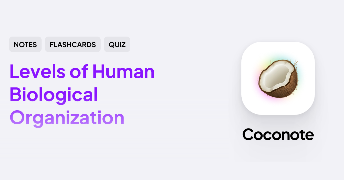 Levels of Human Biological Organization | Coconote